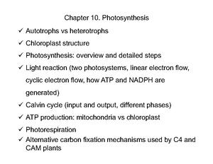 BIO CH5 - Lecture discusses the types of tissue layers and the meaning ...