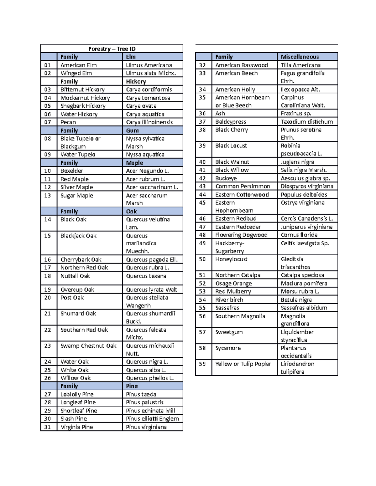 Tree ID Family Sorted 96682 - Forestry – Tree ID Family Elm 01 American ...