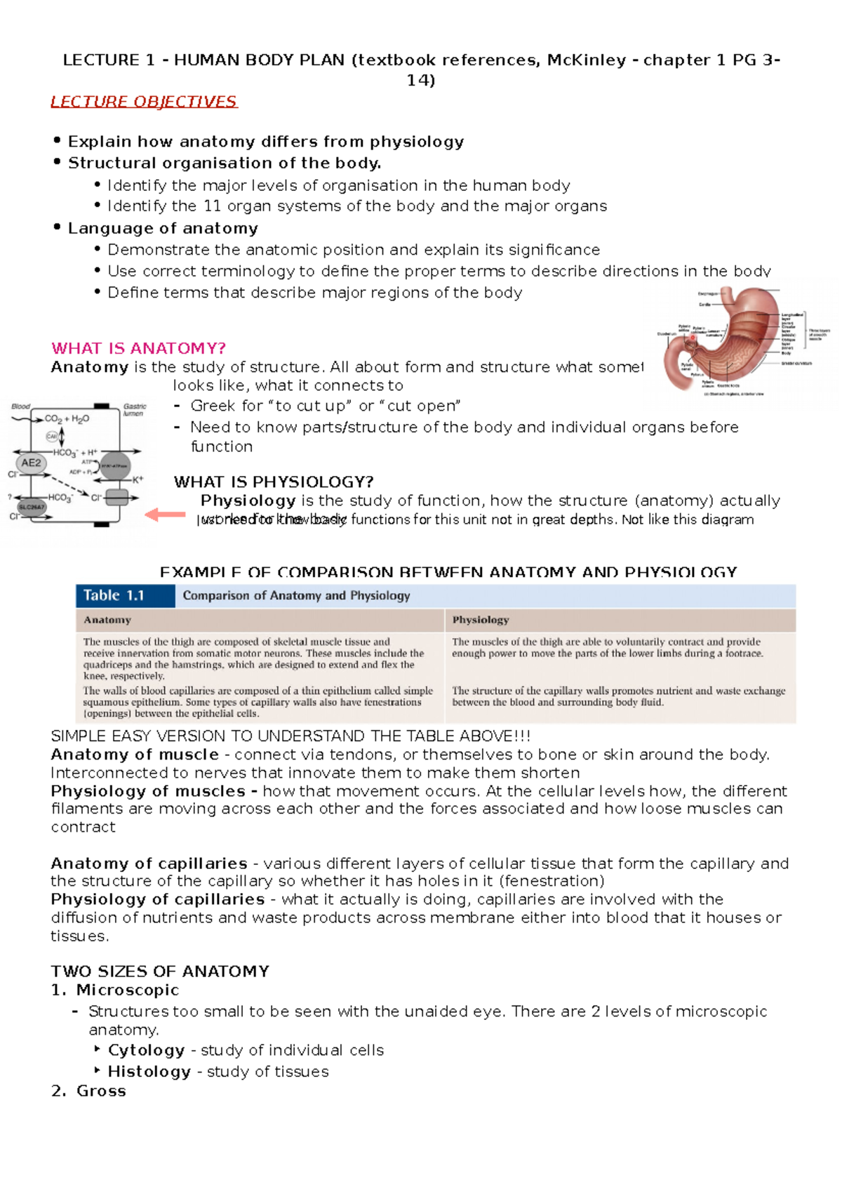 Human BODY - Lecture 1 notes - LECTURE 1 - HUMAN BODY PLAN (textbook ...