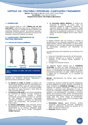 Epitroclea - fractura, clasificacion, diagnostico y tratamiento ...