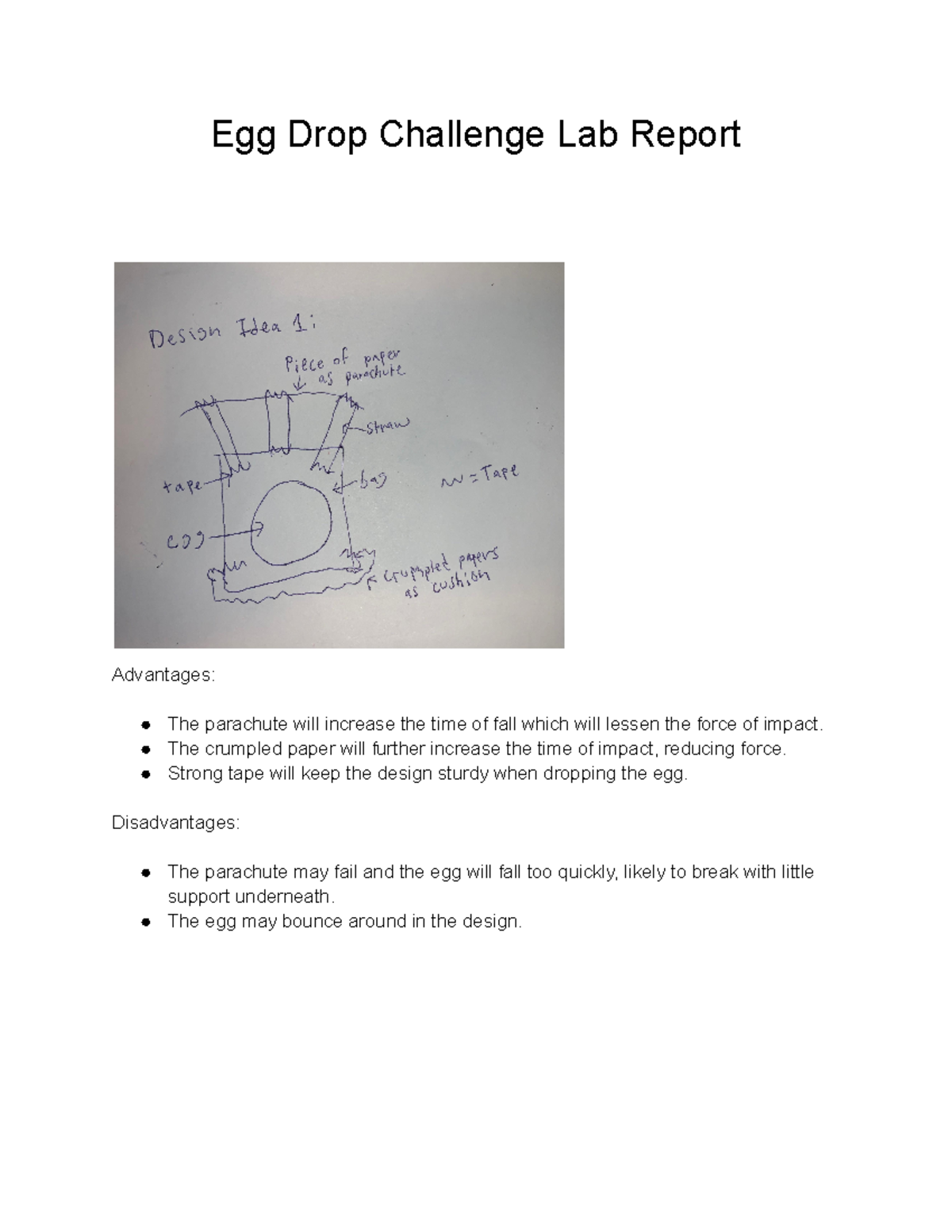 Untitled document - Physics presentation - Egg Drop Challenge Lab ...