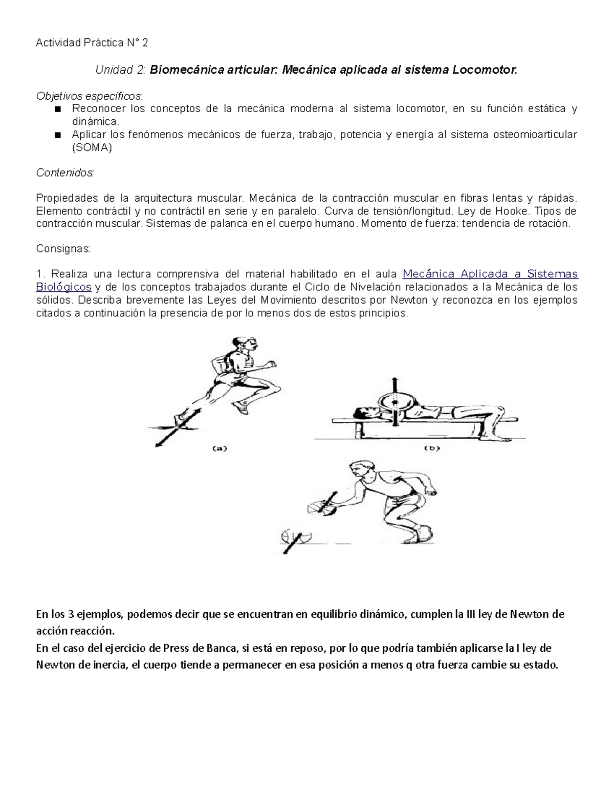 Actividad Practica 2 Mecánica FBEKy F-2023 (1) - Actividad Práctica N ...