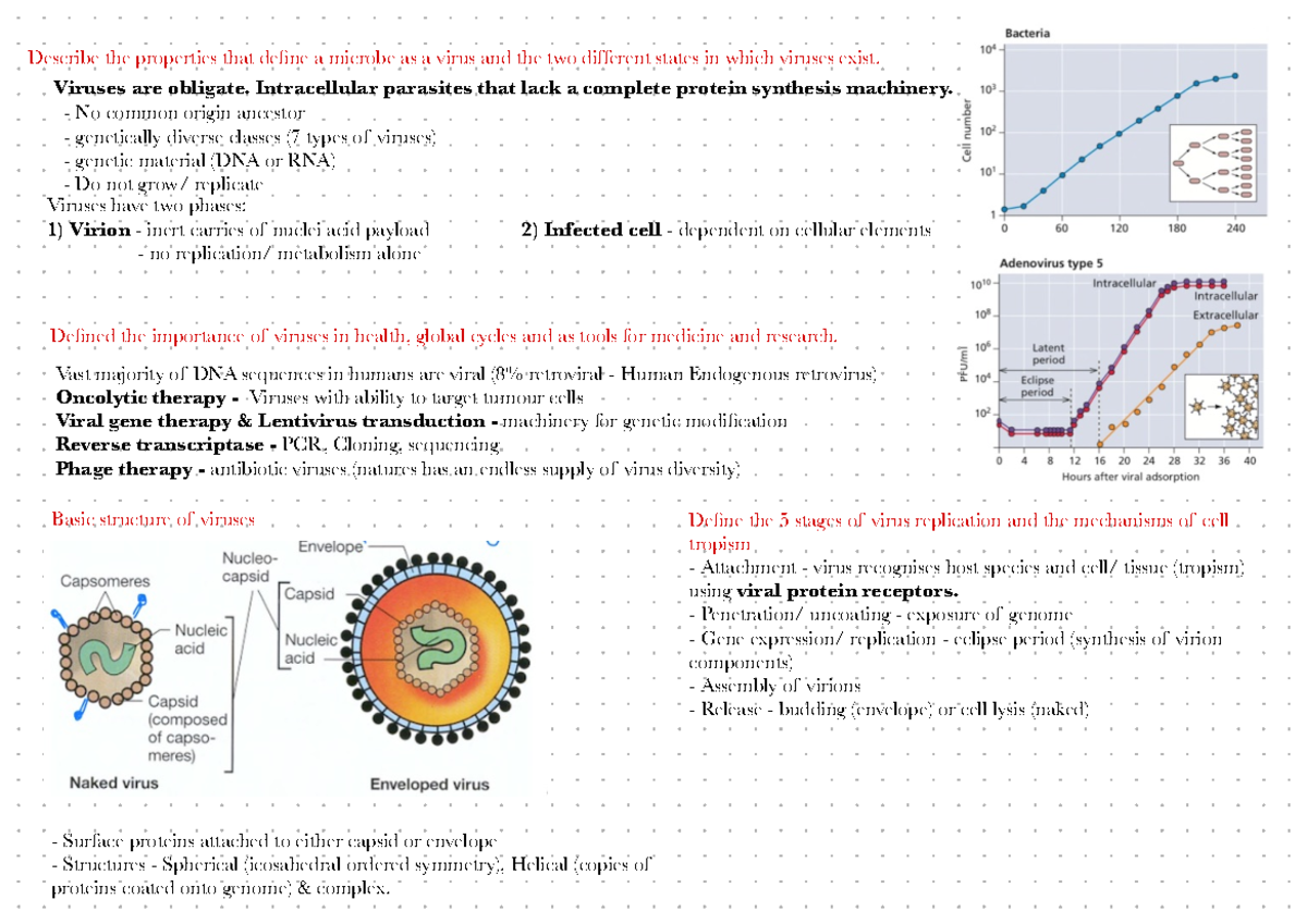 3.1 Molecular virology and viral infections - Learning objectives After ...