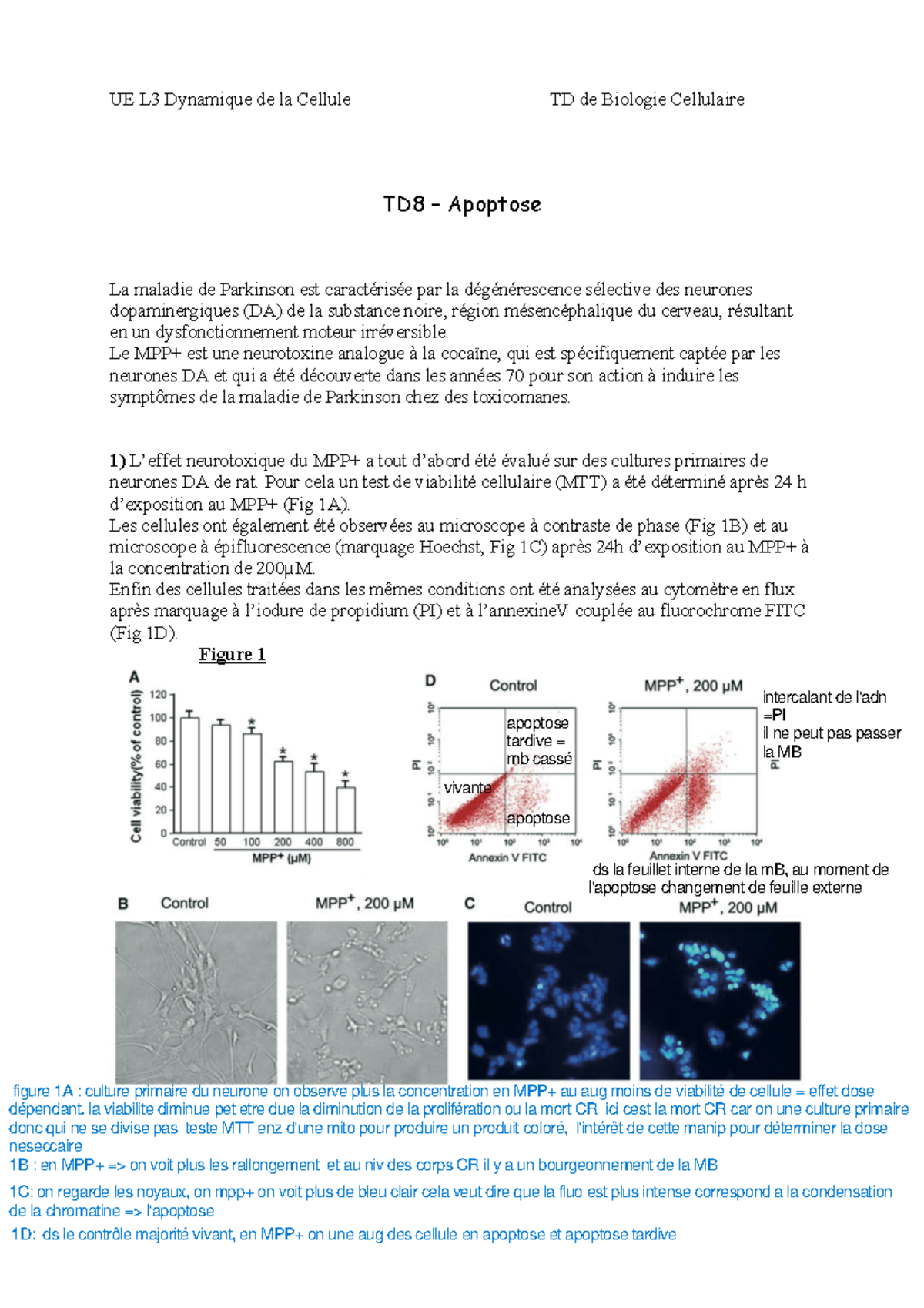 TD apoptose - Td de la dynamique pathologie - UE L3 Dynamique de la Cellule TD de Biologie - Studocu
