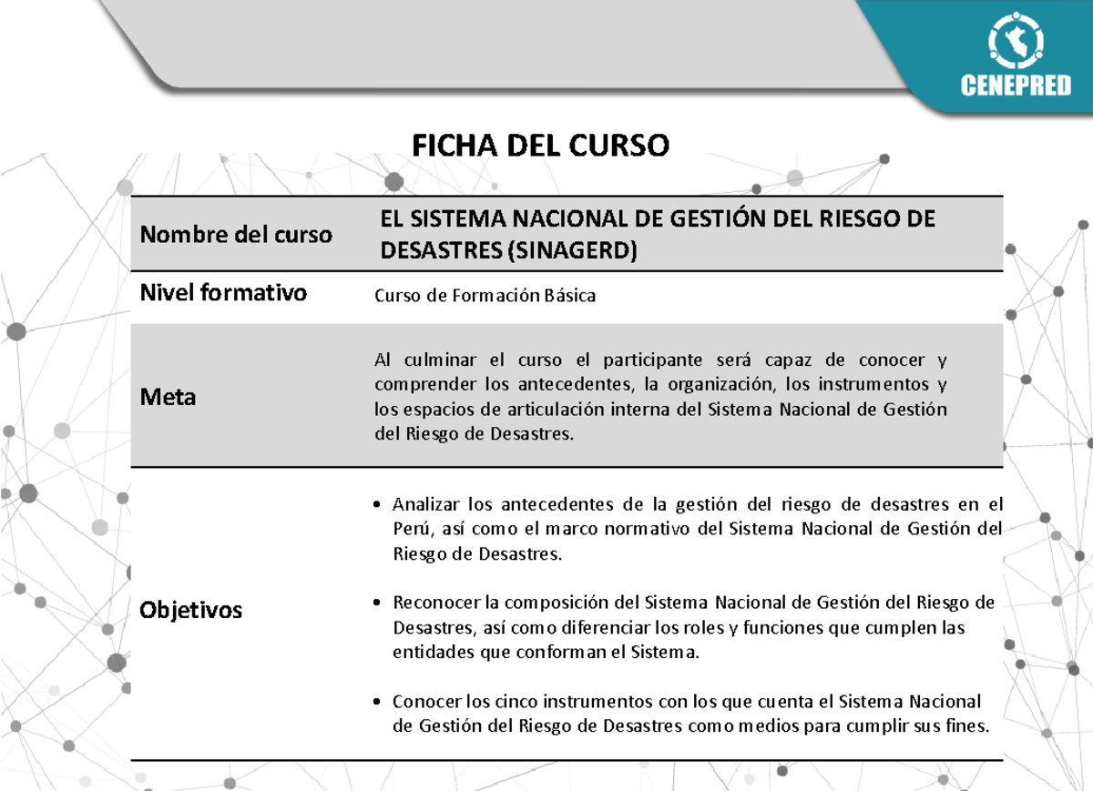 2.CFB- Ficha Sinagerd - Nombre del curso EL SISTEMA NACIONAL DE GESTIÓN ...