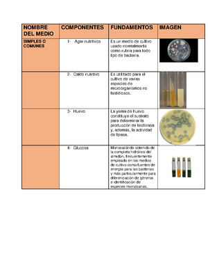 Exudado otico - Practica - Introducción Un exudado ótico es un examen de laboratorio. En los ...
