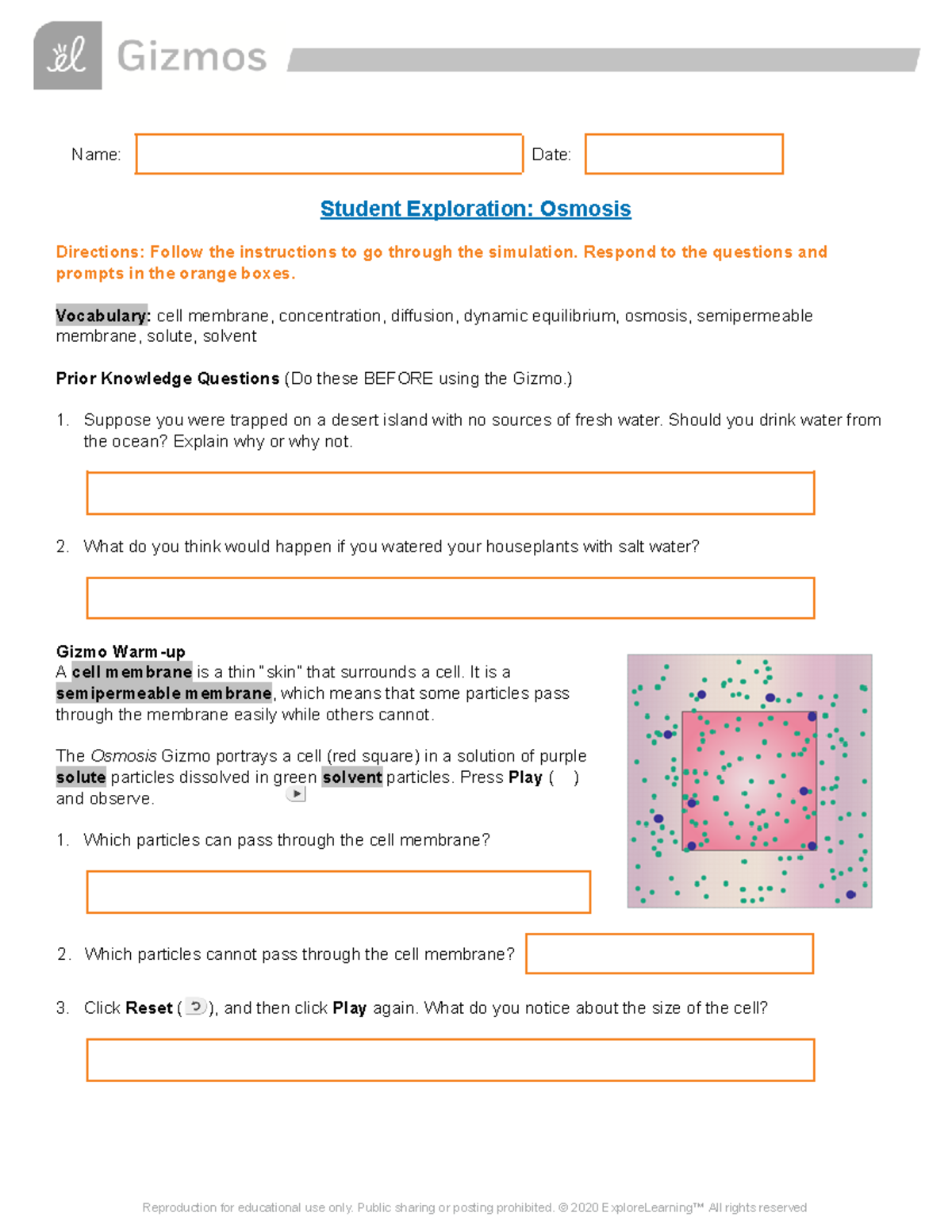 2022 Osmosis SE - The worksheet - Name: Date: Student Exploration ...