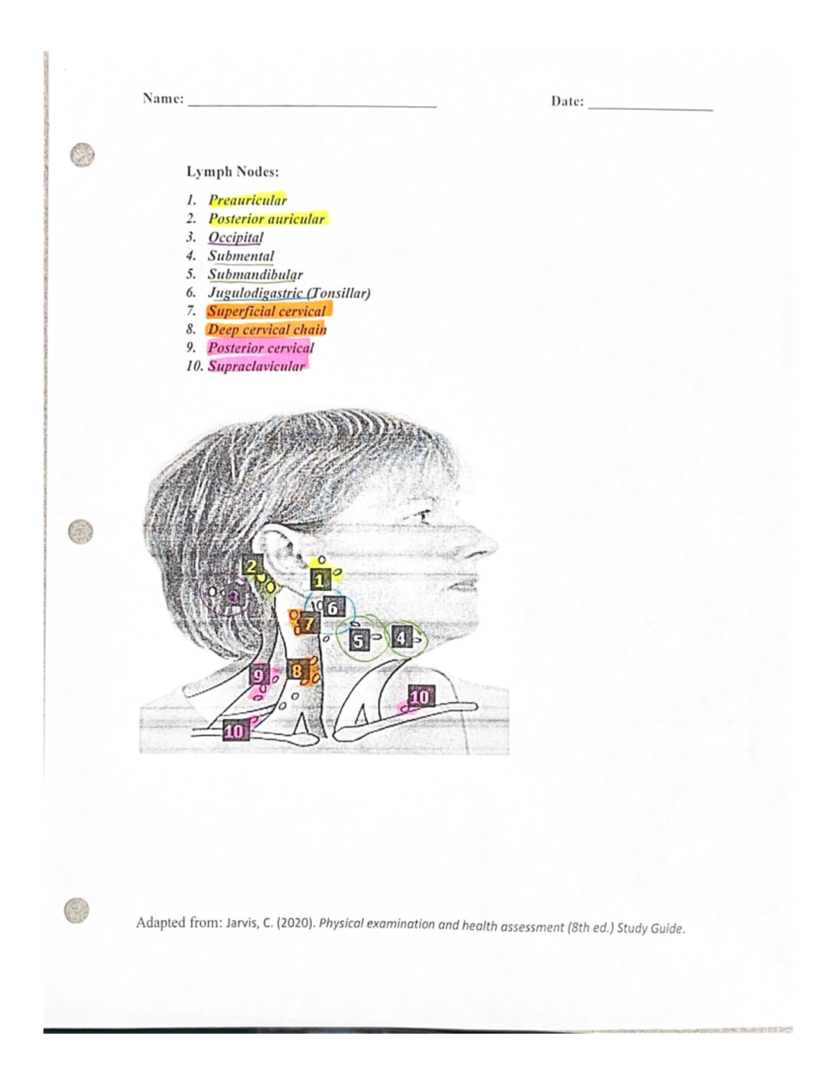Lymph Nodes - Summary Physical Assessment - Name: Date: Lymph Nodes: 1 ...