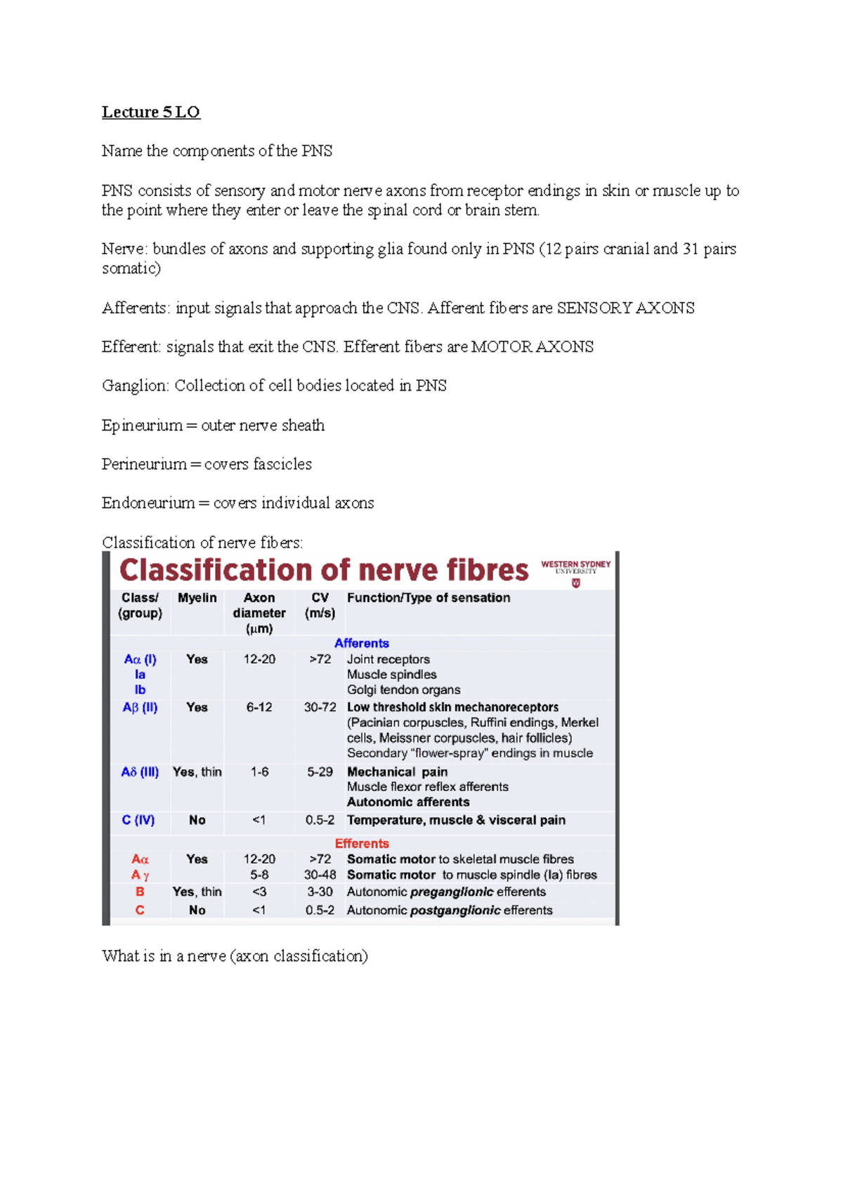 Physio notes - Lecture 5 LO Name the components of the PNS PNS consists ...