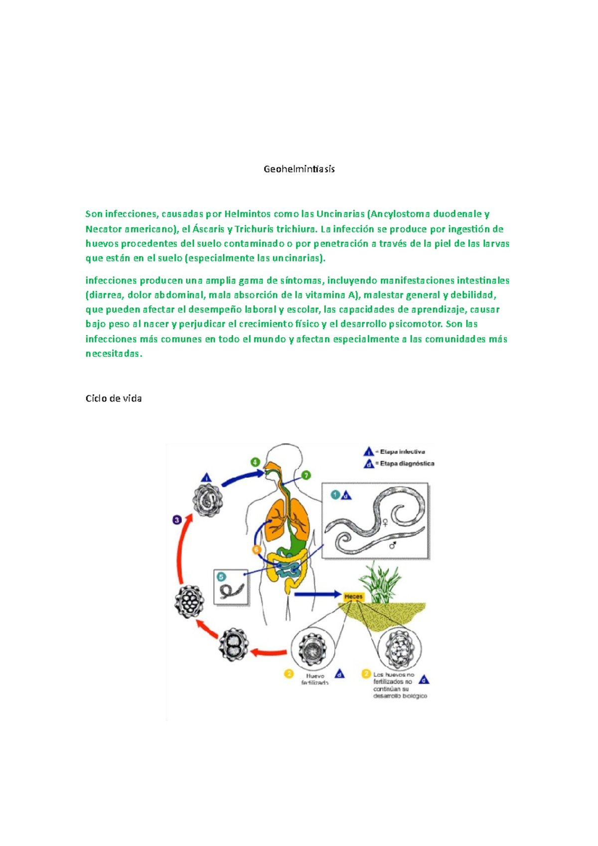 Resumen e geohelmintos - Geohelmintiasis Son infecciones, causadas por ...