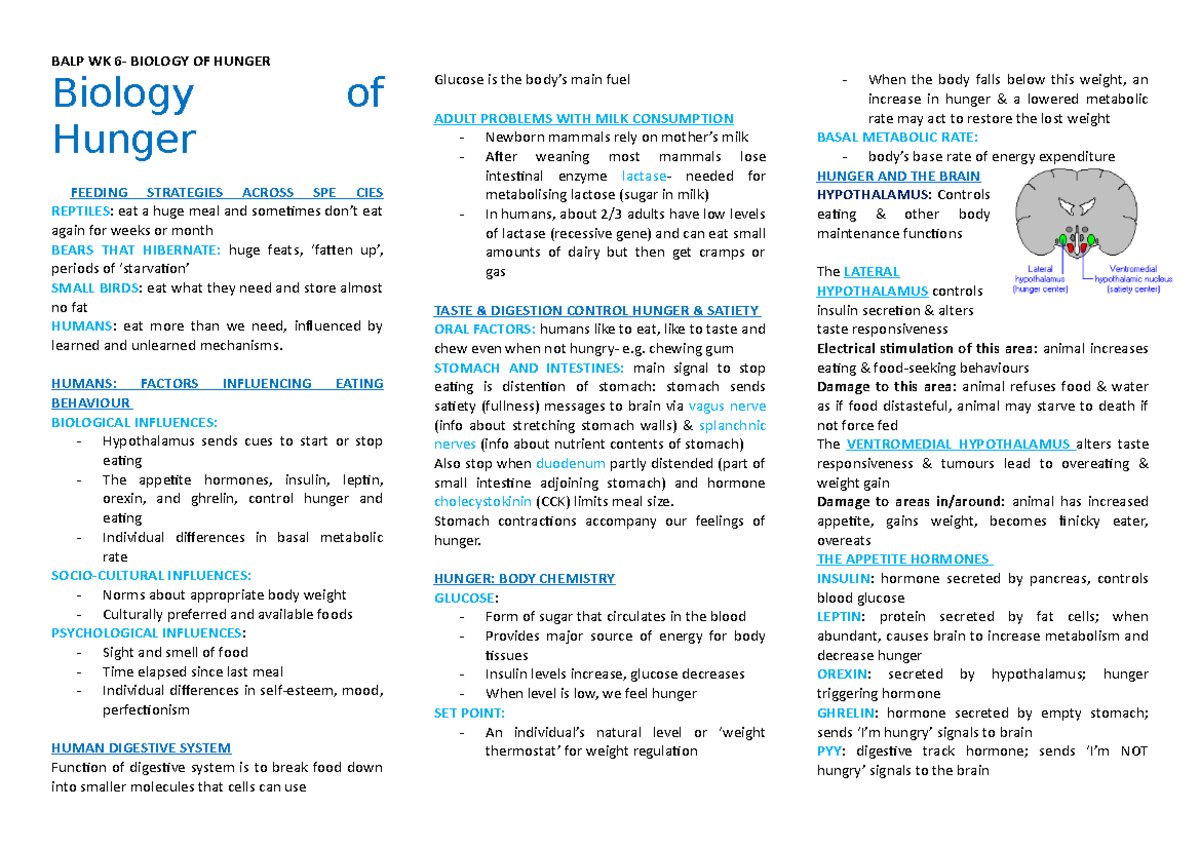 Biology of Hunger - BALP WK 6- BIOLOGY OF HUNGER Biology Hunger of ...