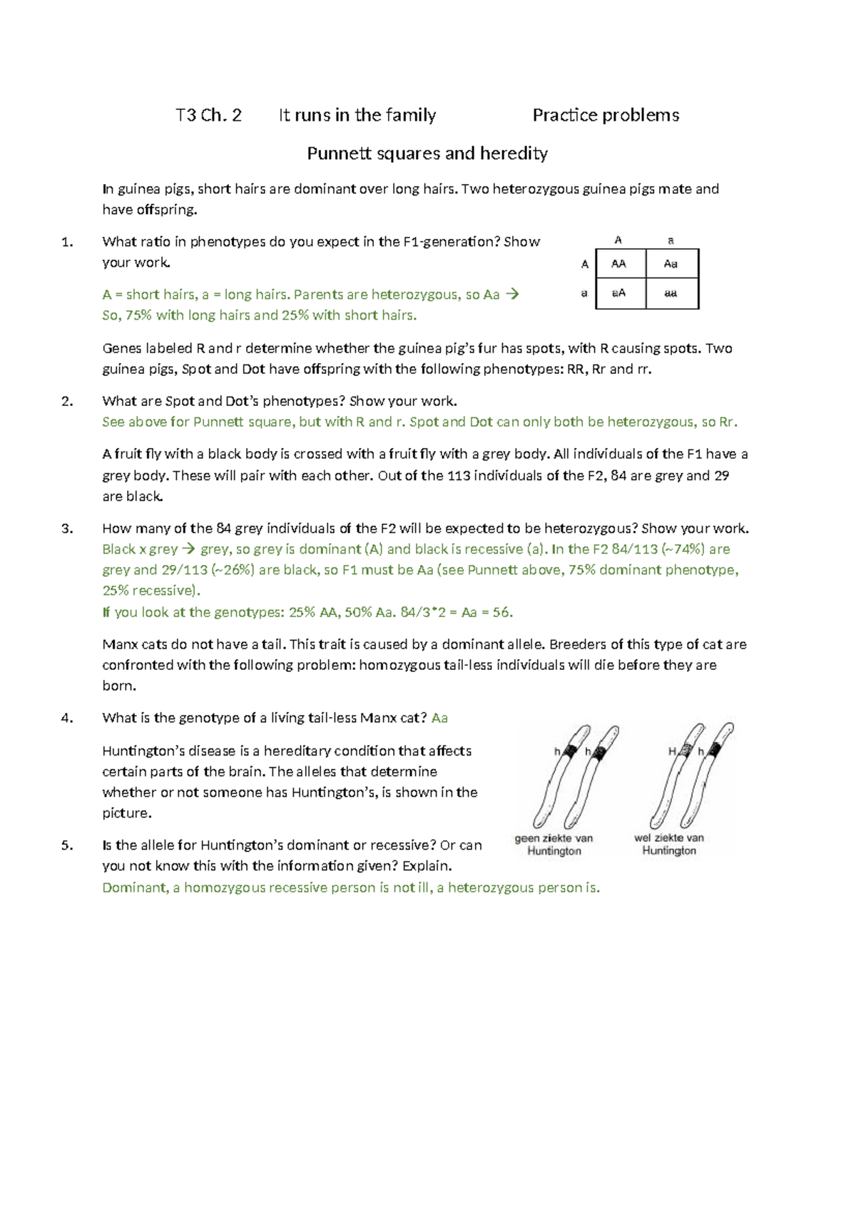 Heredity practice probs answ 2021 - Punnett squares and heredity In ...