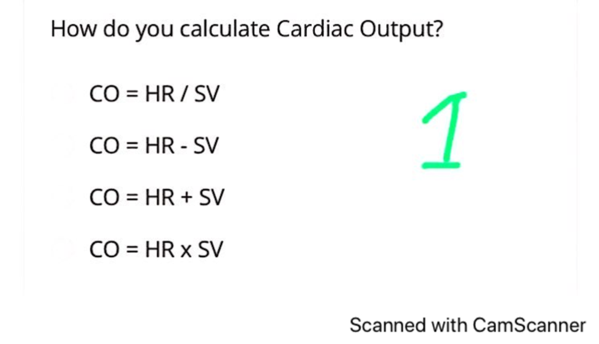 Cardio SG - Anatomy and physiology - Studocu