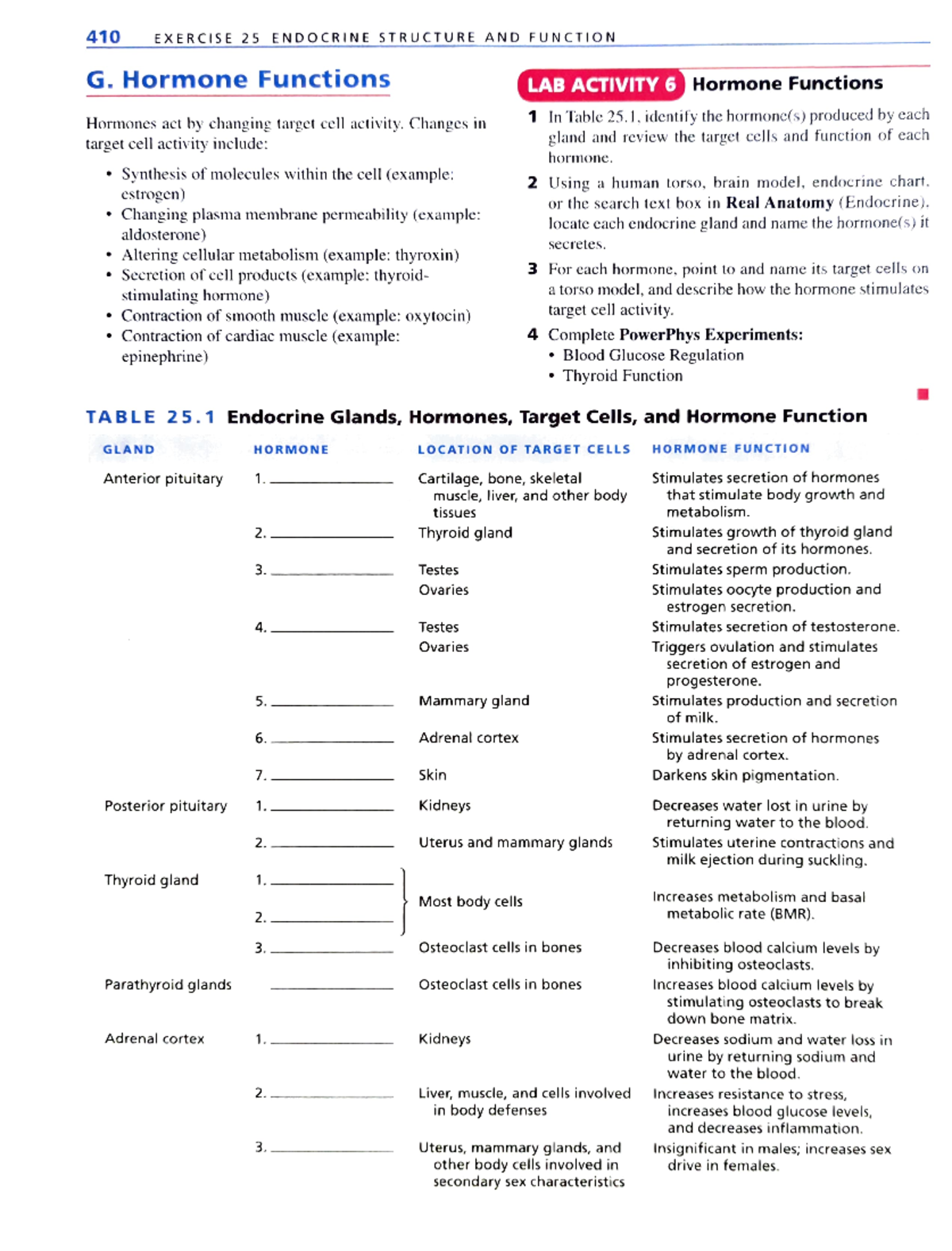 Endocrine system packet - Dr. Paul - ####### G. Hormone Functions ...