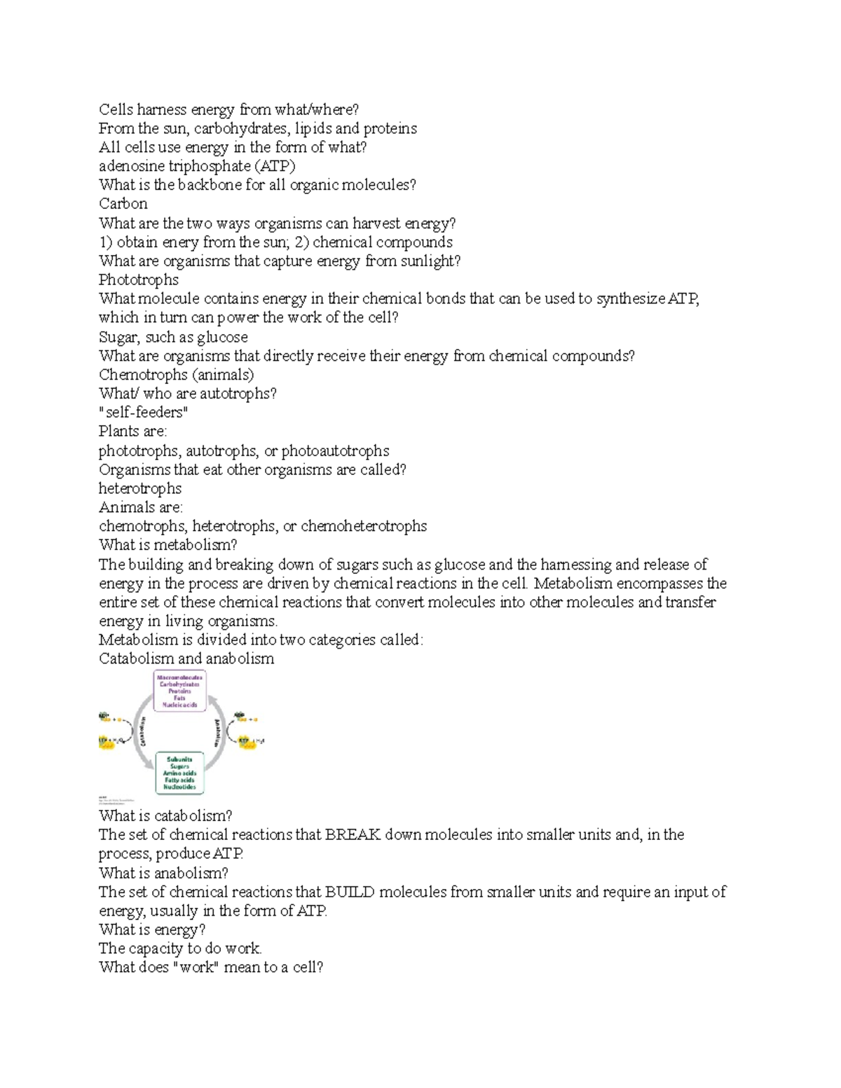 Bio 6 - Notes and study guide - Cells harness energy from what/where ...