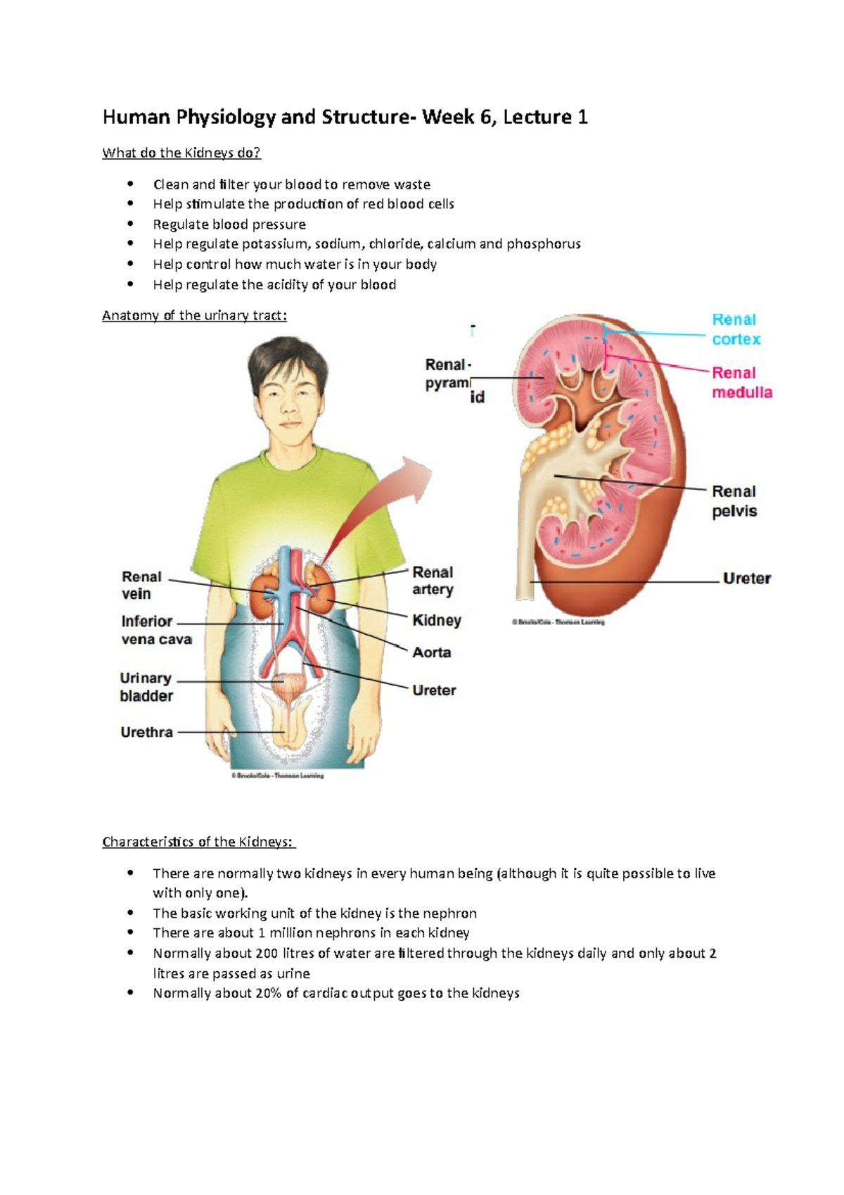 Human Physiology and Structure- Week 6, Lecture 1 - The basic working ...