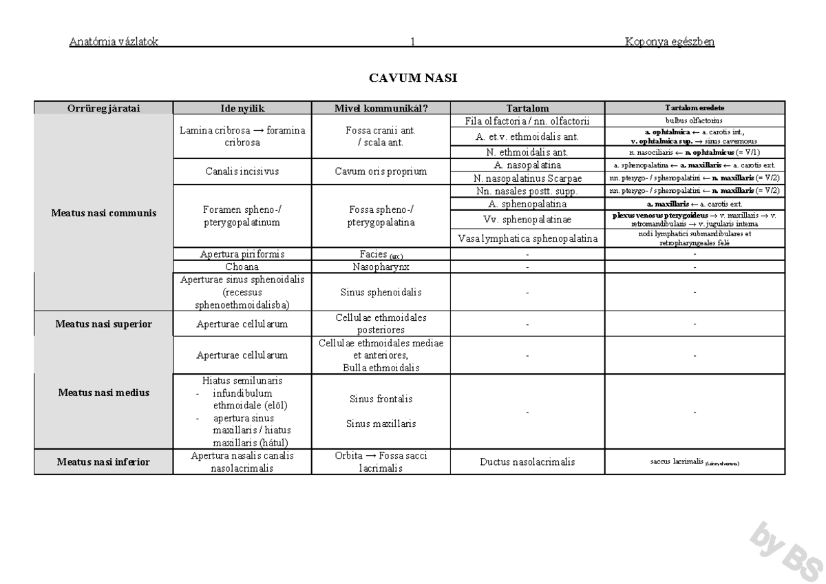 01-anatomia-koponya tablazatos - Koponya 1 CAVUM NASI Ide Mivel Lamina ...