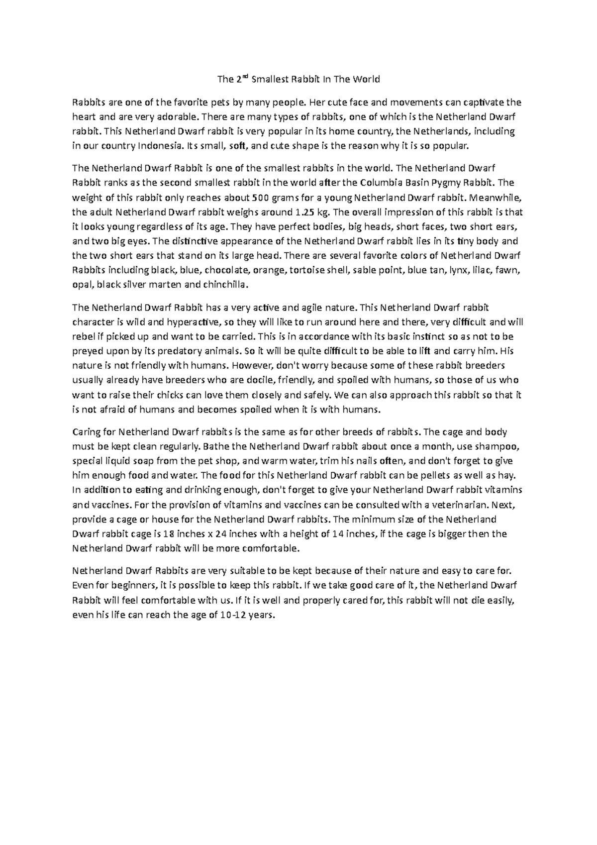 Essayku Inggris - Rabbit - The 2nd Smallest Rabbit In The World Rabbits ...