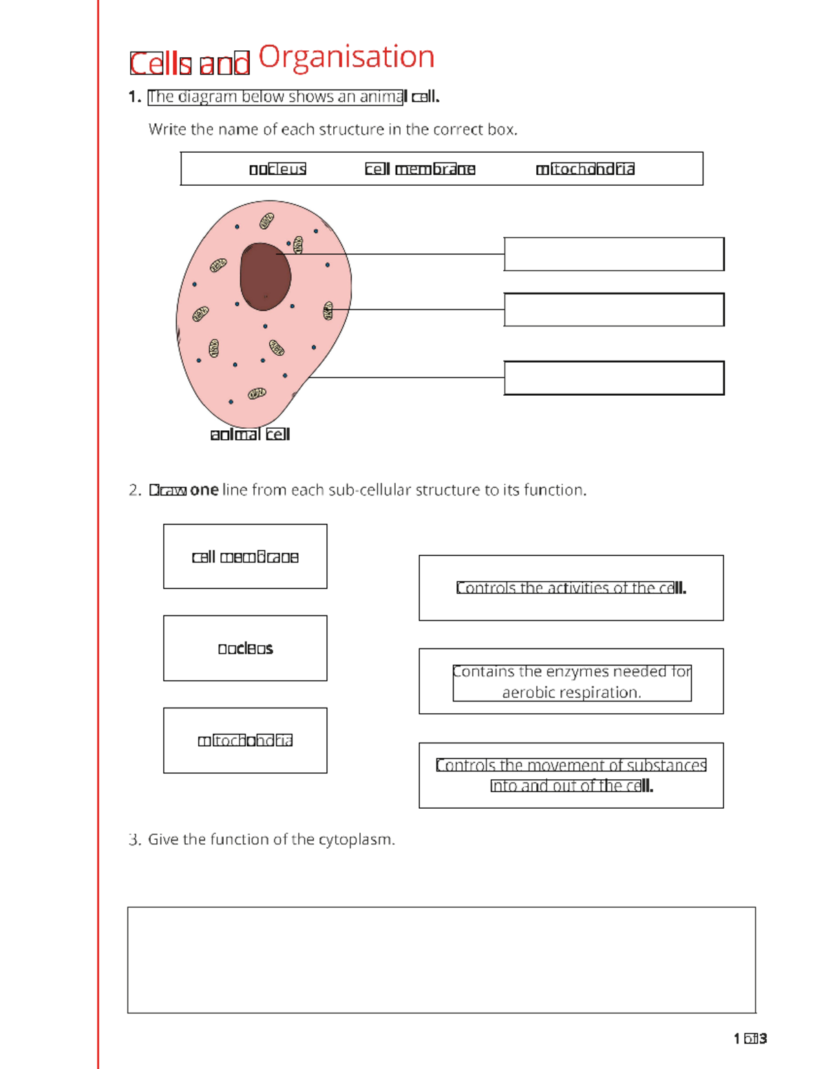 Cells worksheet - Cellular and molecular biology - Studocu