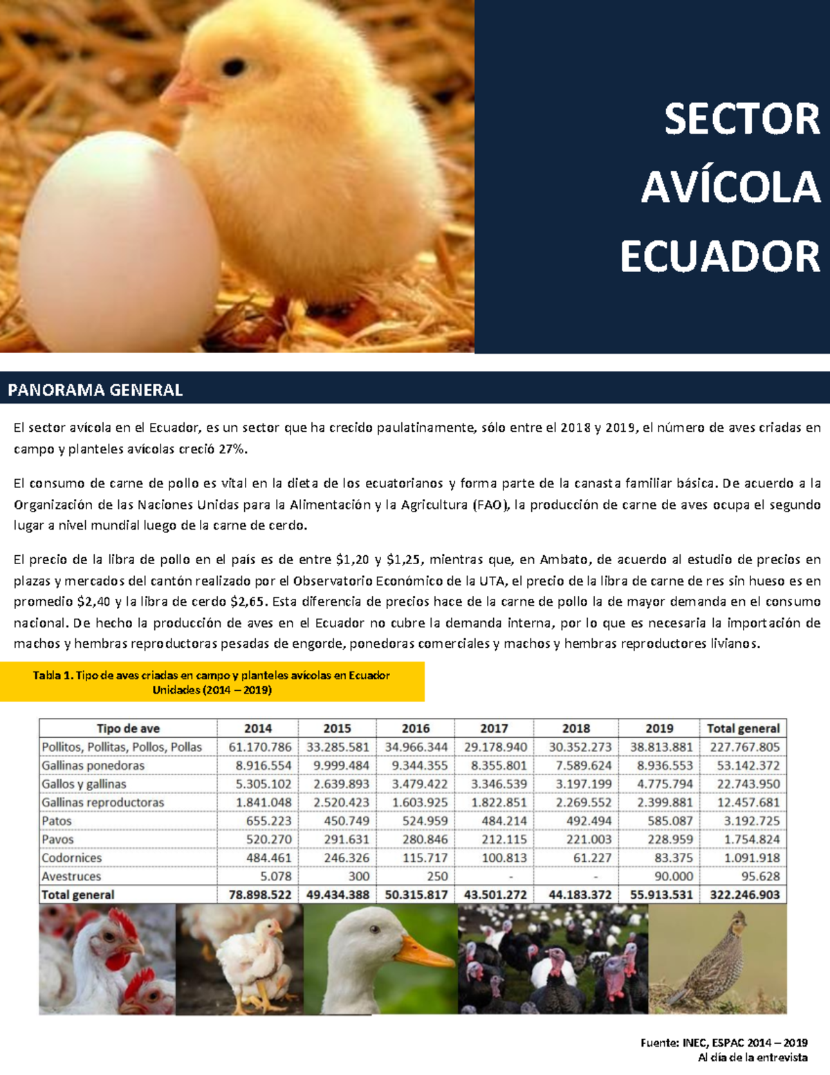 Sector-avicola-Ecuador - El sector avícola en el Ecuador, es un sector ...