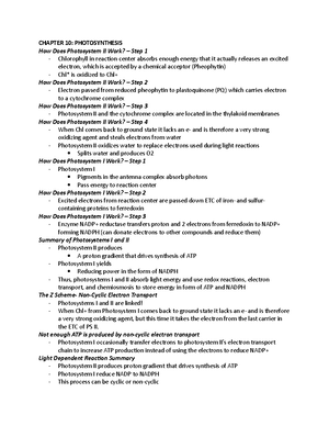 Ch. 41 - Chapter 41 Class Notes - Tessa Kohr BI 114 Dr. T Chapter 41 ...