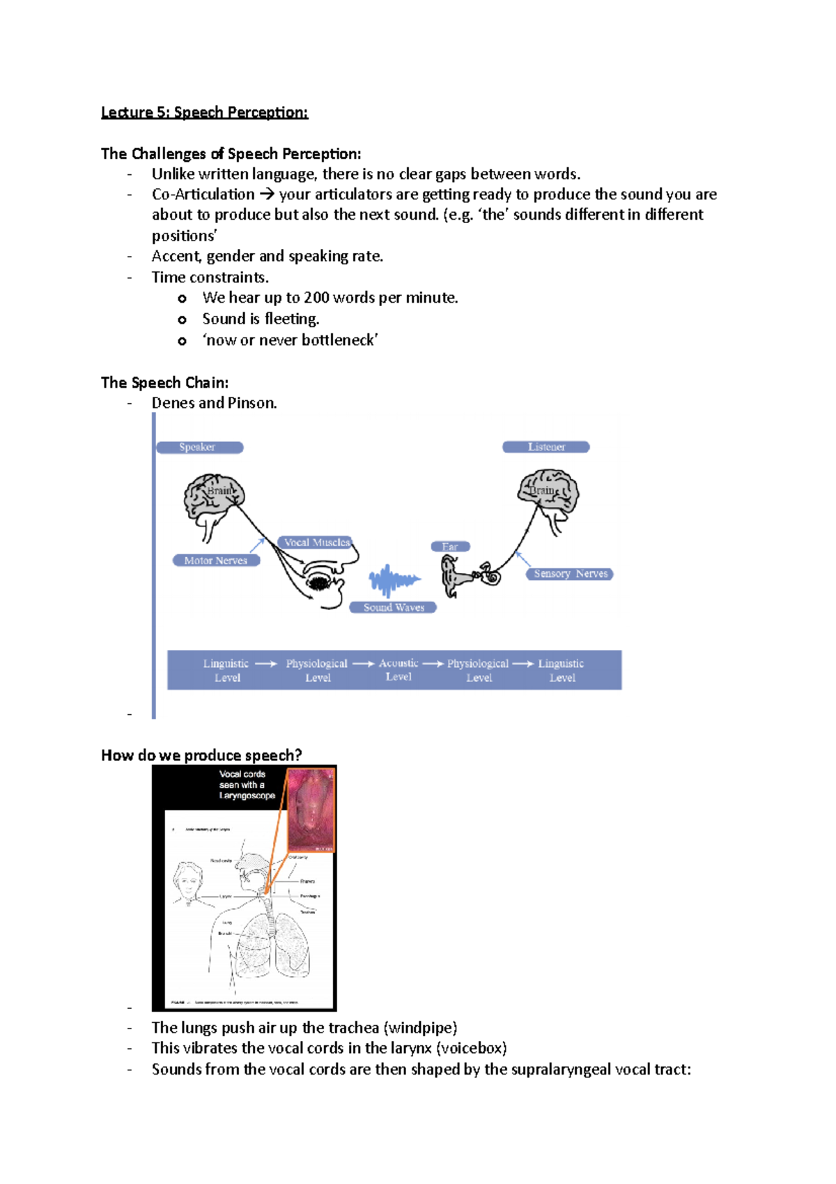 Lecture 5- Speech Perception - Lecture 5: Speech Perception: The ...
