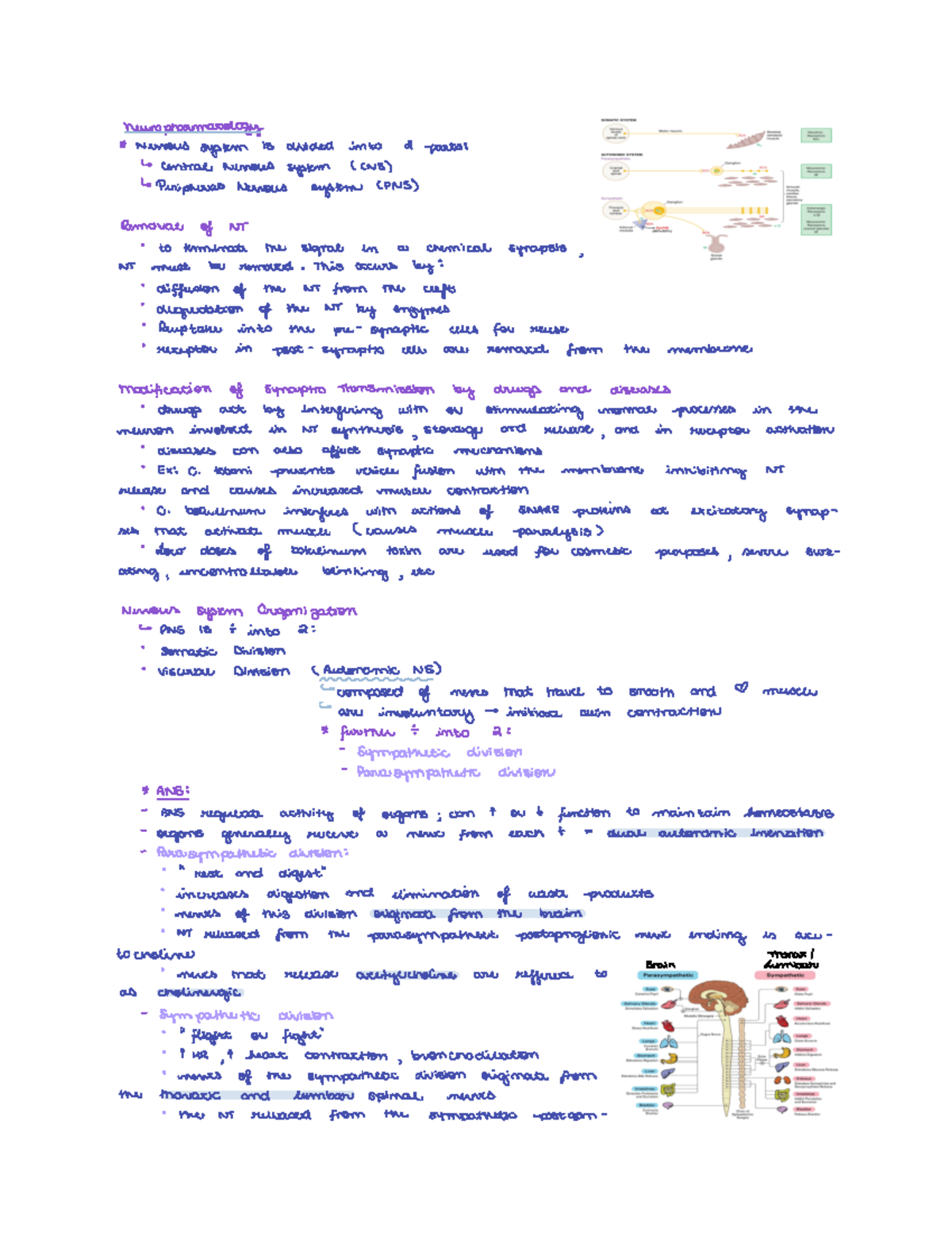Exam 2 - detailed handwritten note of neuropharmacology - with diagrams ...