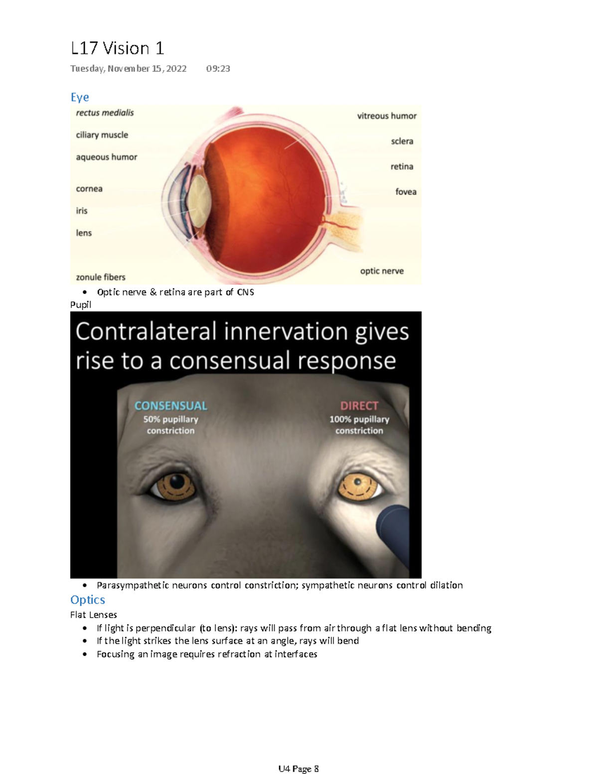 Lecture 17 Vision - Eye Optic nerve & retina are part of CNS Pupil ...
