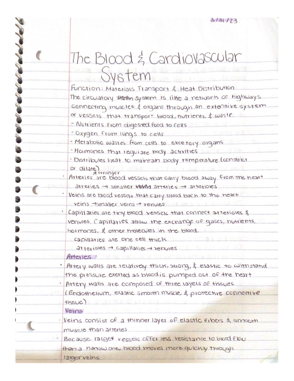 Cardiovascular System - Studocu