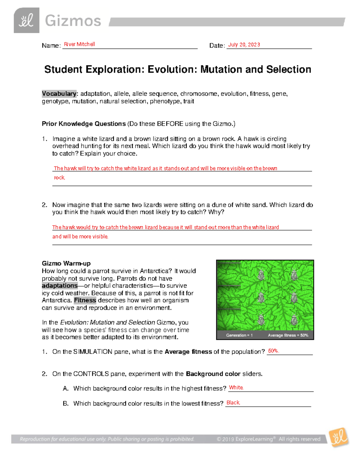 Kami+Export+-+Evolution Mutation Selection SE - Name ...