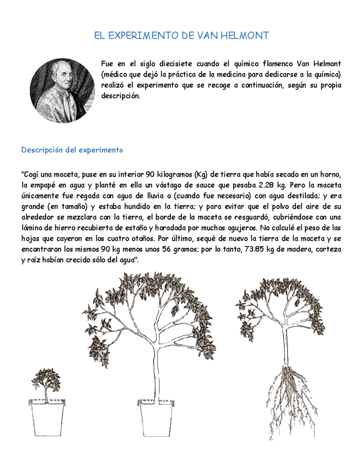 347777928 1454072906 Experimento de Van Helmont - EL EXPERIMENTO DE VAN ...
