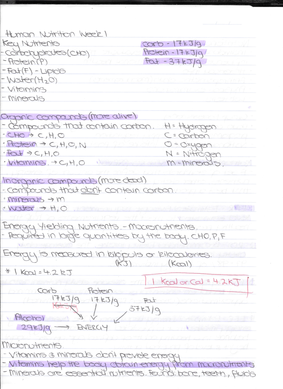 Lecture notes, lectures 1-13 - Written and summarized lecture notes ...