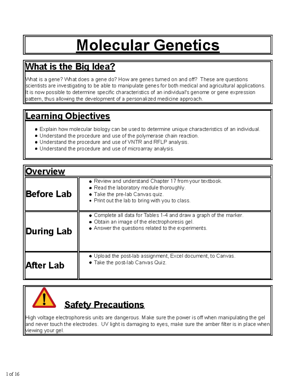 Molecular Genetics Lab 9 24 - Molecular Genetics What is the Big Idea ...