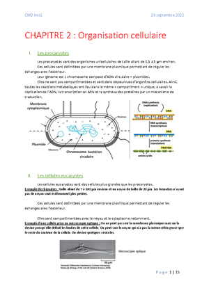 CM 1 - Sciences de la santé - CM1 : INSS : Les cellules dans leur ...