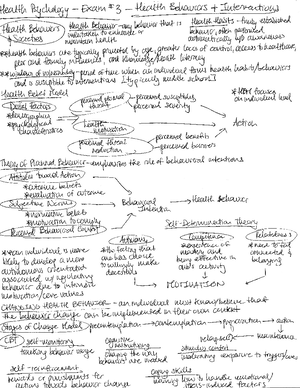 Biochem Study Guide 4 - review of lipids, photosynthesis, and nitrogen ...