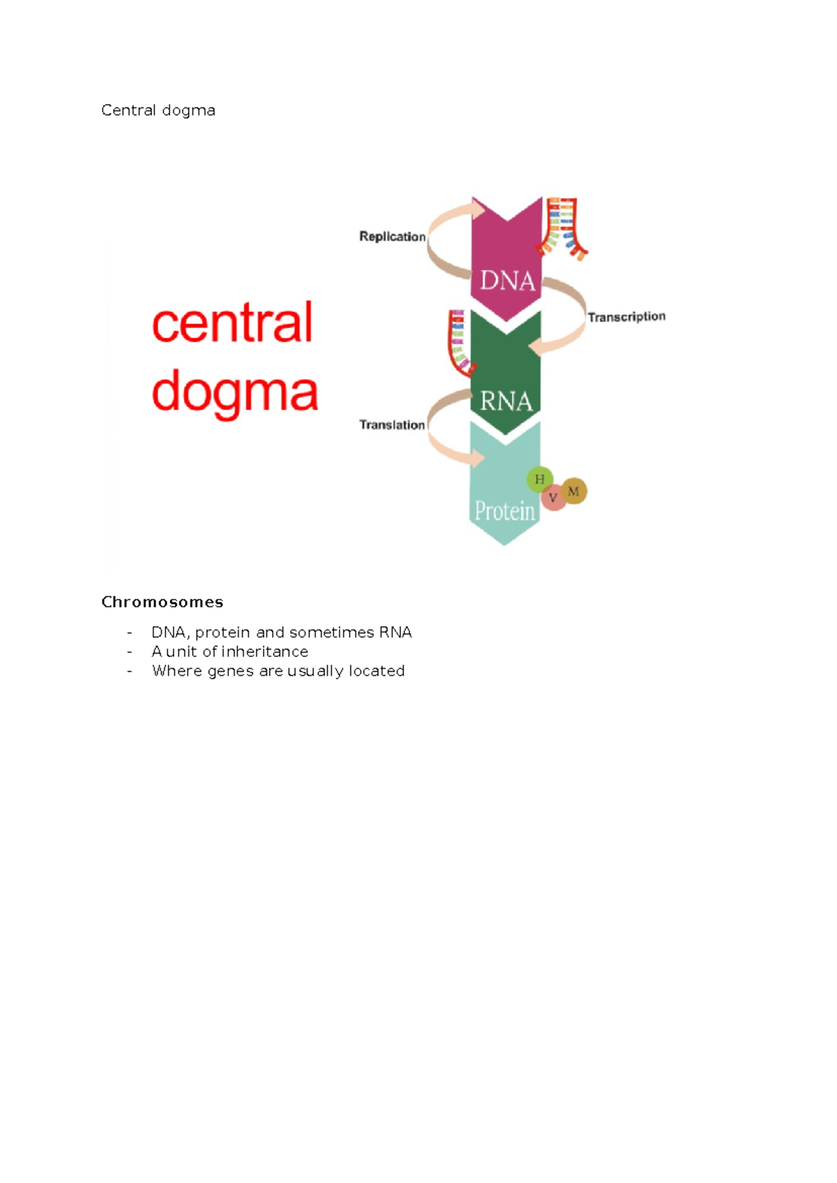 Central dogma - Central dogma Chromosomes - DNA, protein and sometimes ...