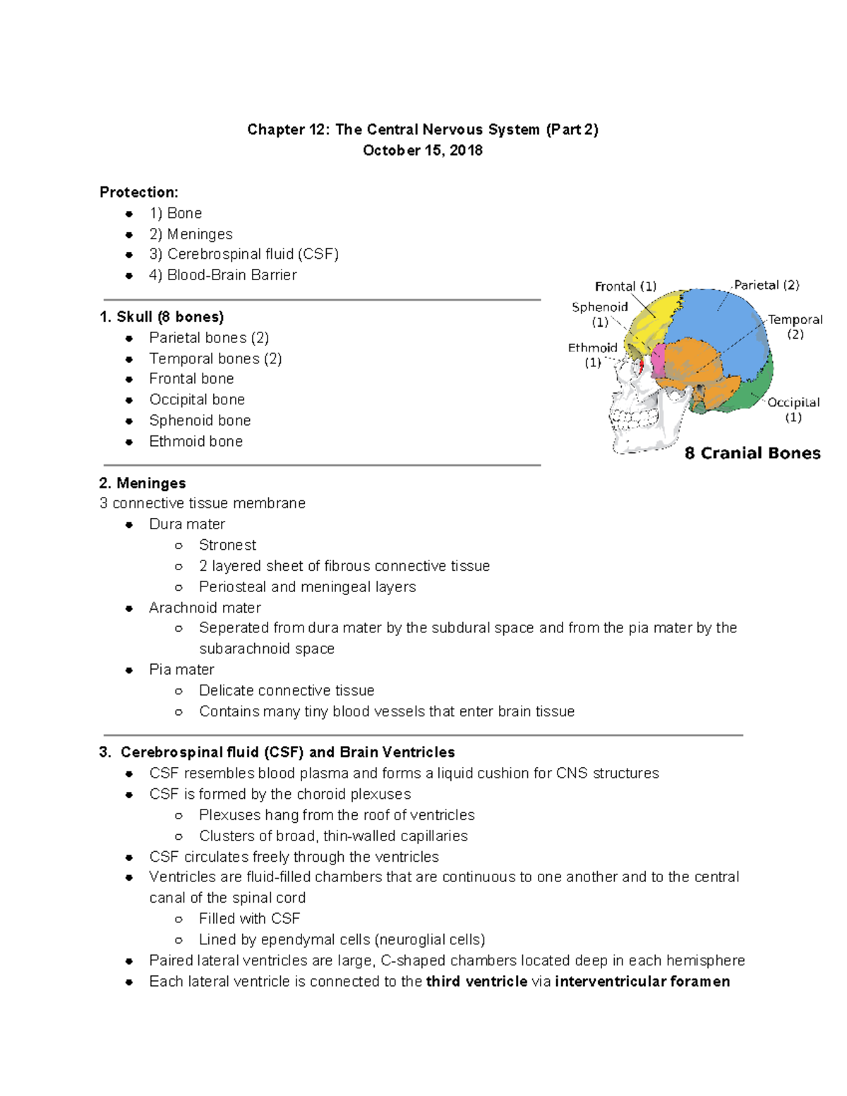 Chapter 12 The Central Nervous System (Part 2) - Chapter 12: The ...