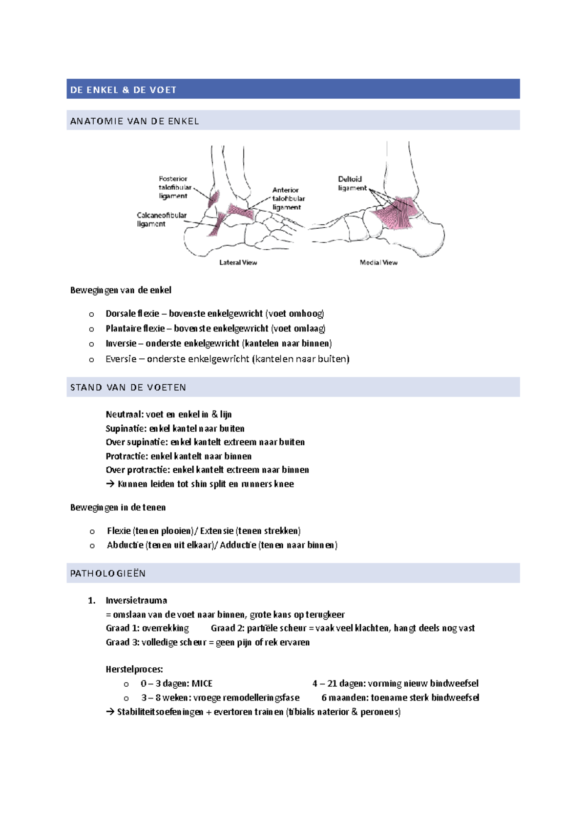Samenvatting beweegpathologie en oefentherapie - DE ENKEL & DE VOET ...