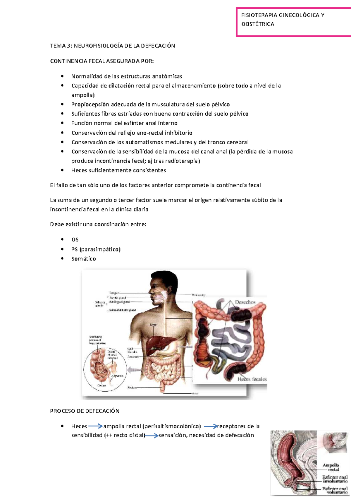 Neurofisiología de la defecación - FISIOTERAPIA GINECOLÓGICA Y ...
