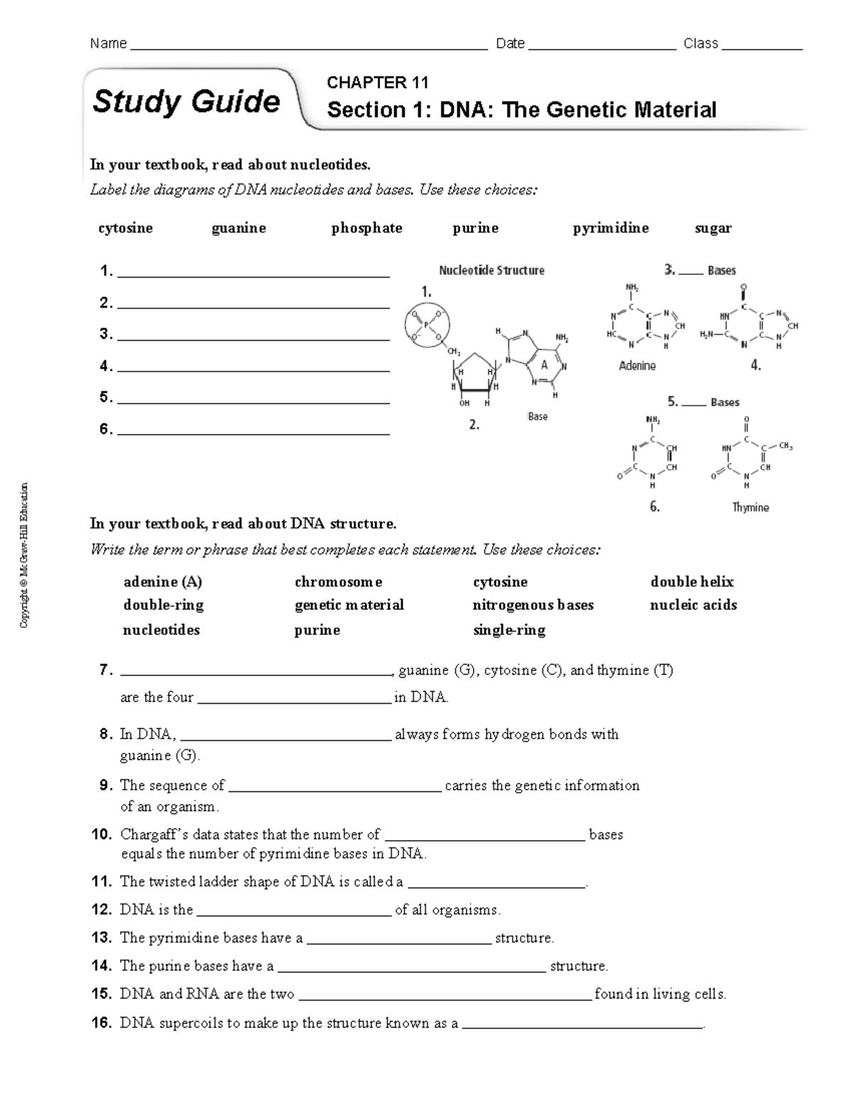 Chapter 11 Study Guides - Study Guide CHAPTER 11 Section 1: DNA: The ...
