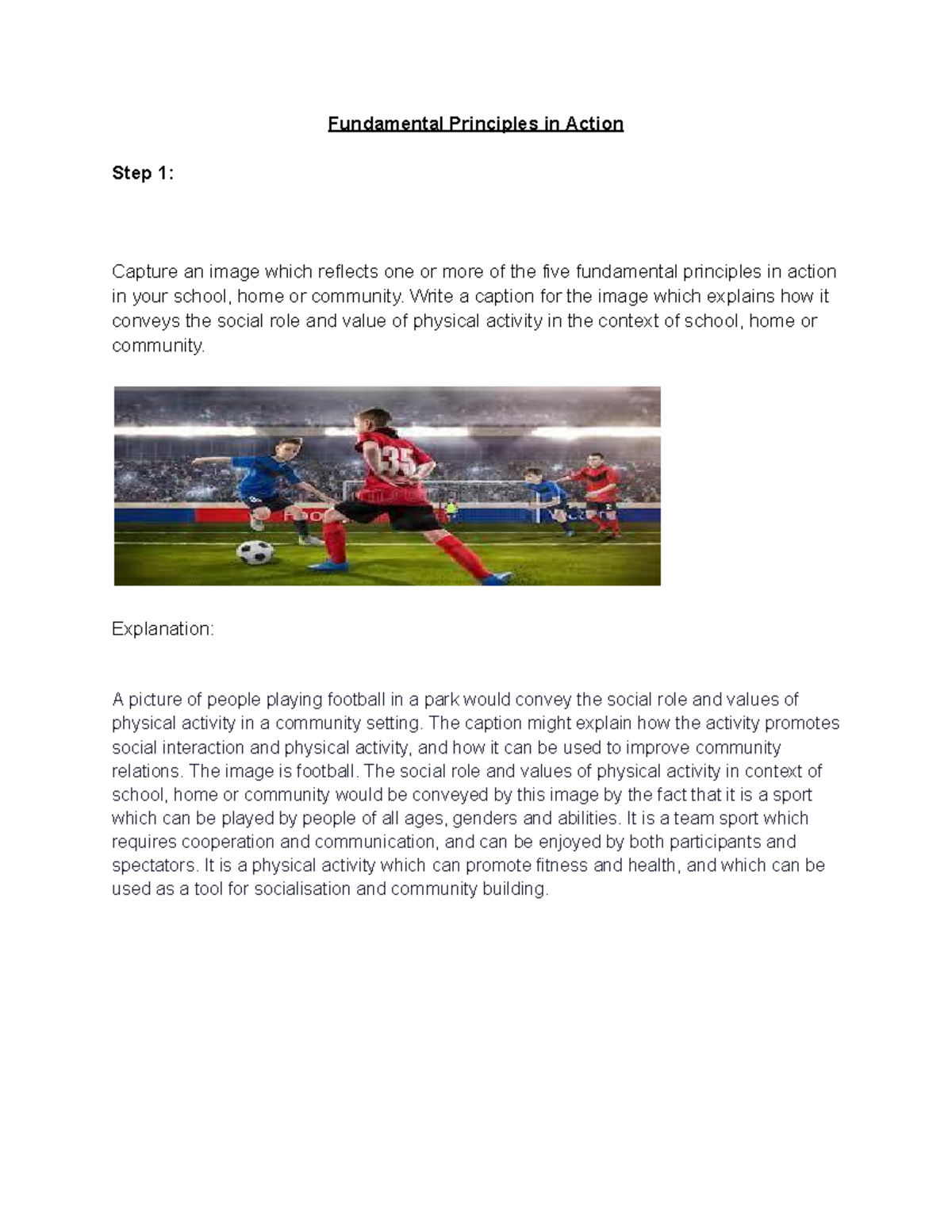 Copy of Fundamental Principles in Action - Fundamental Principles in ...