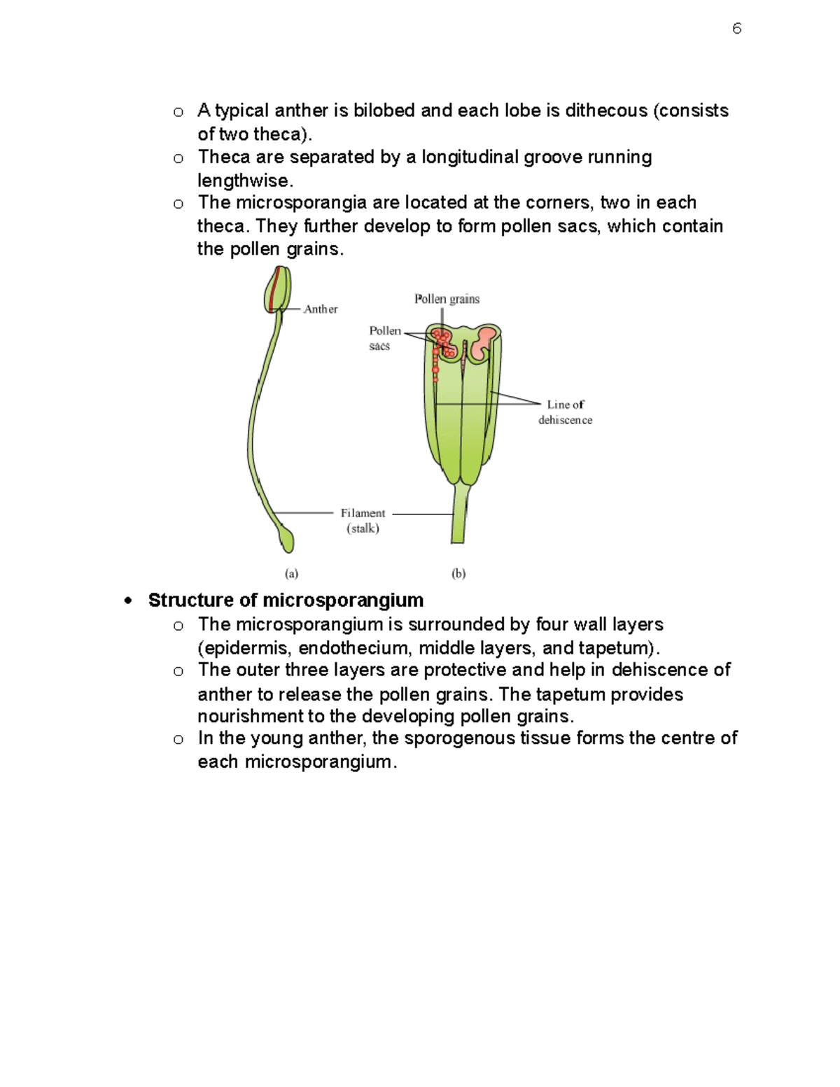 Bio Notes 12-2 - o A typical anther is bilobed and each lobe is ...