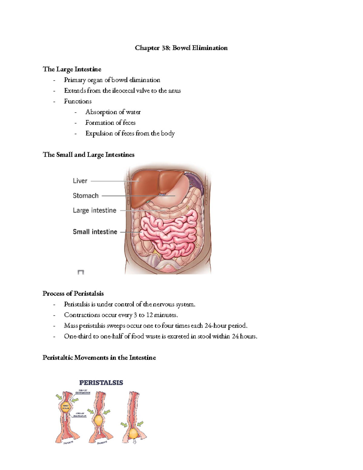 Fundamentals of Nursing Chapter 38: Bowel Elimination Notes - Chapter ...