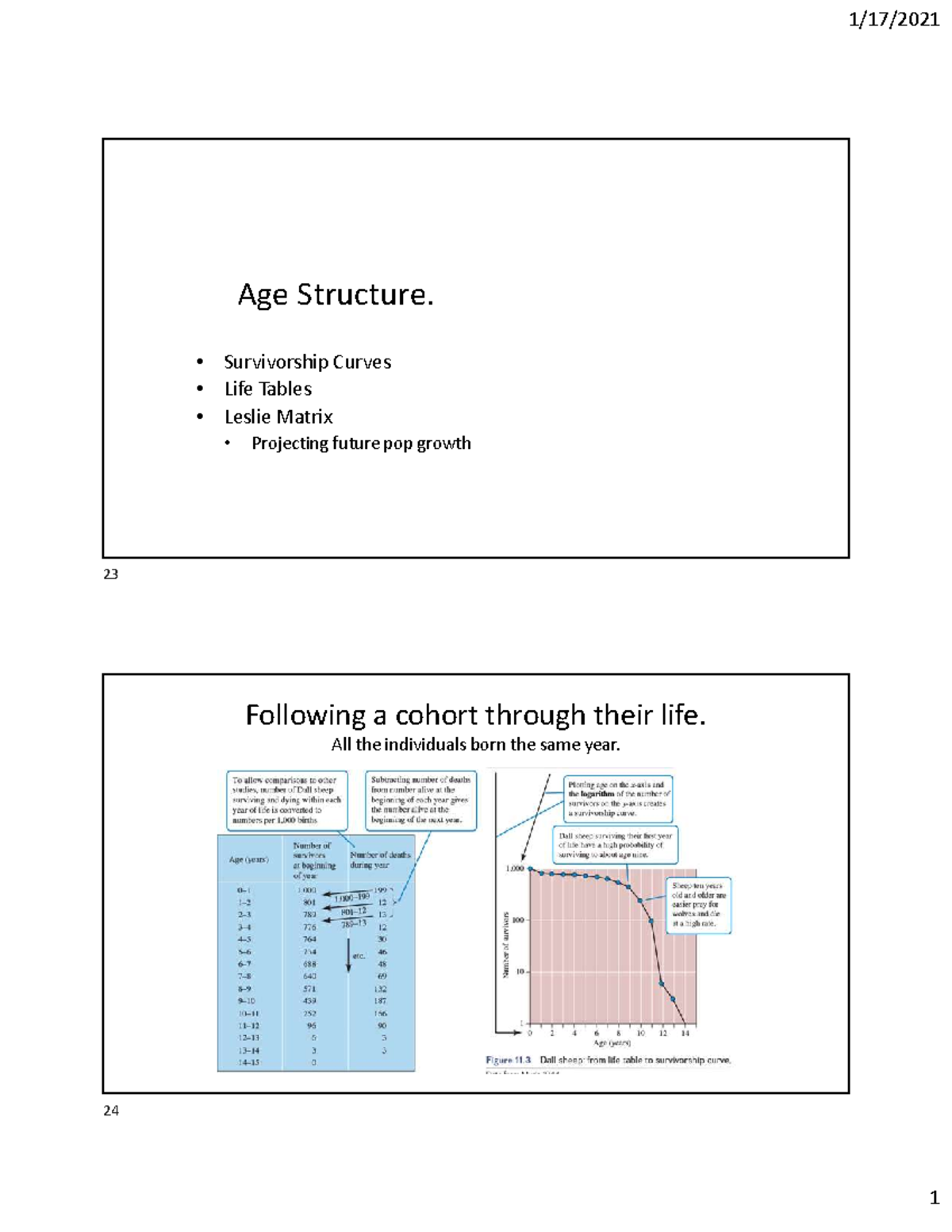 Age Structure Slides - Age Structure. • Survivorship Curves • Life ...