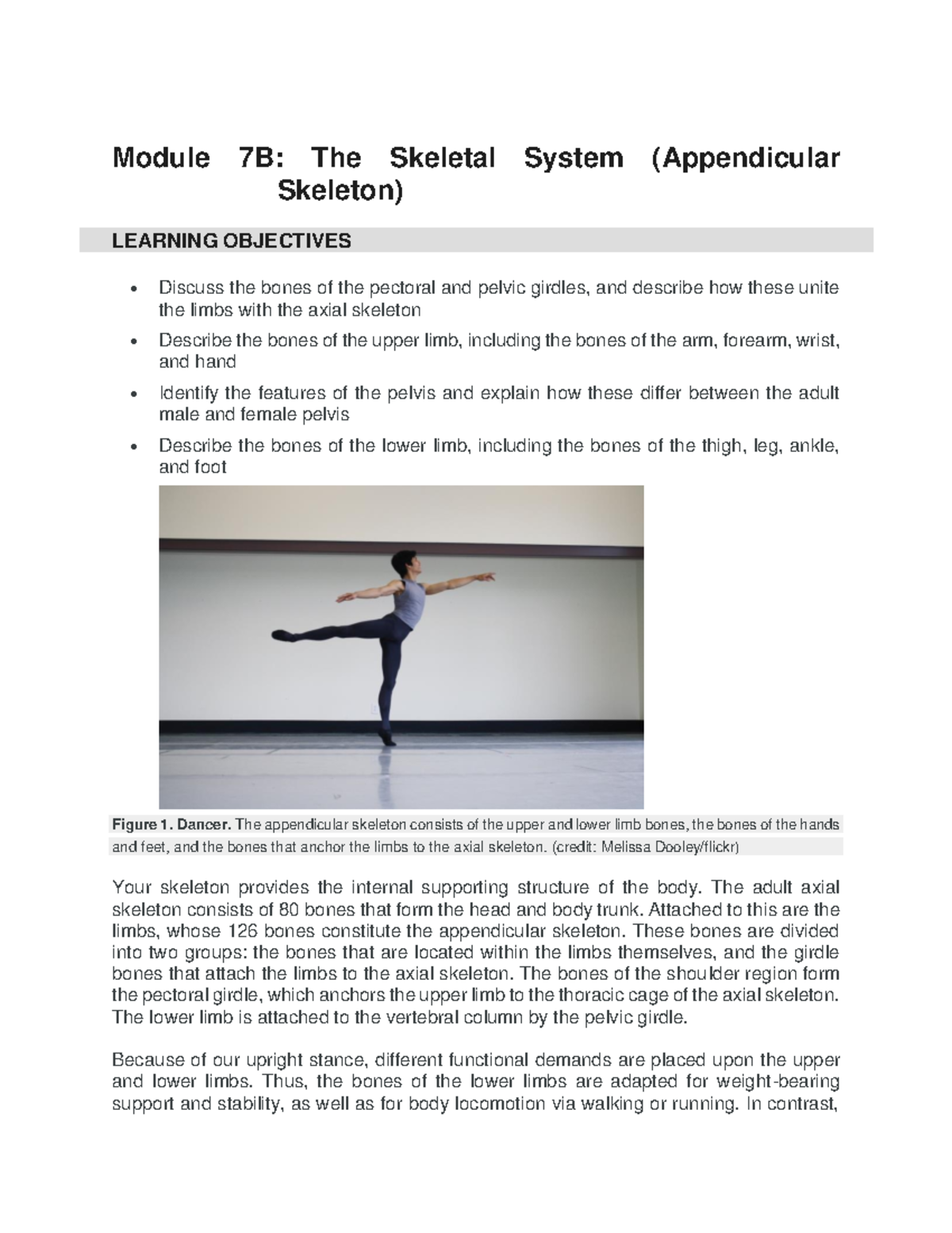 Module 7B The Skeletal System Module 7B The Skeletal System