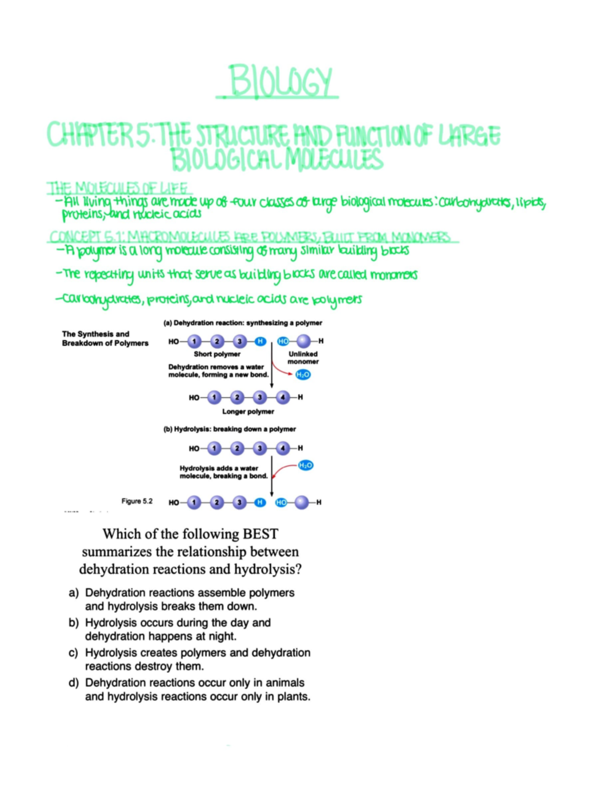 BIOL 1201 CH.5 PG - Christopher Gregg - B\OLoGY -~ ,.Jtf ..... El -,1l ...