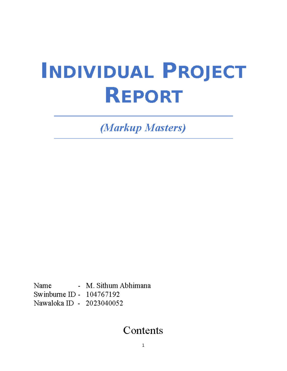 Individual Project Report - INDIVIDUAL PROJECT REPORT (Markup Masters ...
