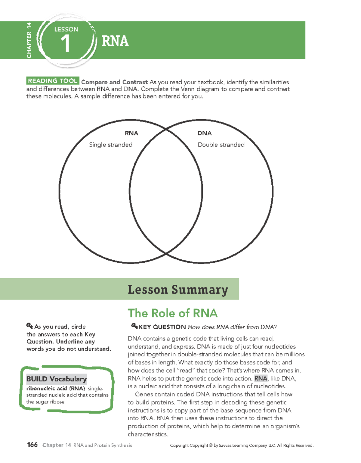 Ch14.3 Gene Regulation and Expression - ####### CHAPTER ####### 14 RNA ...
