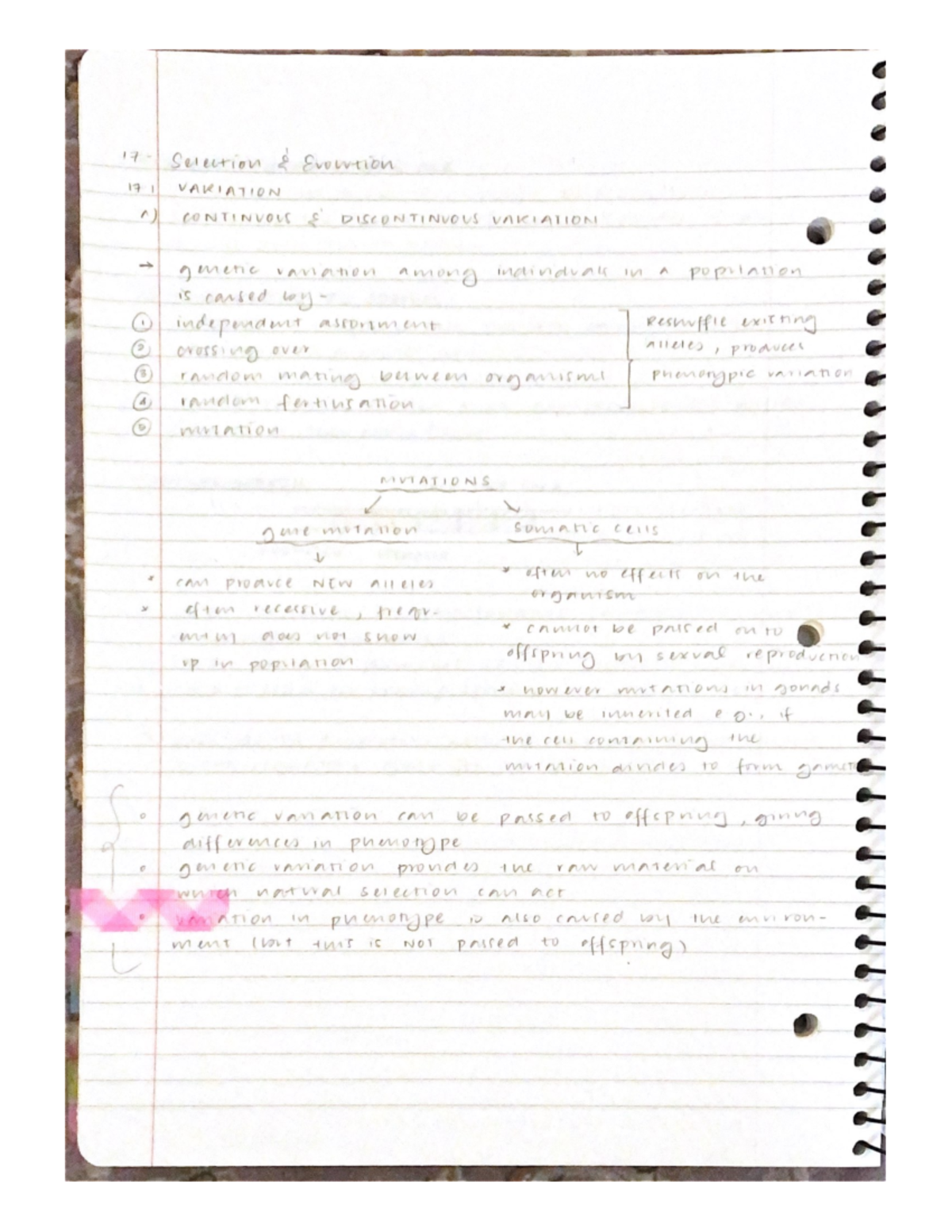 17 selection handwritten - Biology - Studocu