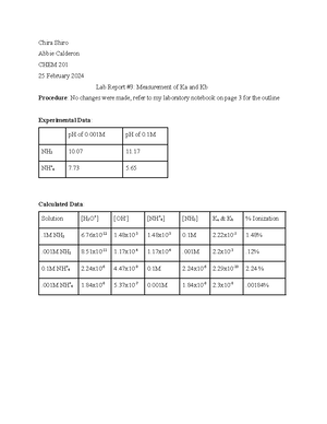 Lab Report Qualitative Ananlysis - Chira Shiro Chem 200 Lado Shapakidze ...